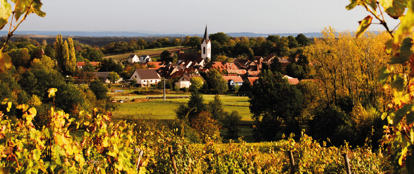 S'implanter dans le Haut-Rhin (68) - Pôle Implantation Entreprises